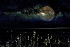 The Moon Rules